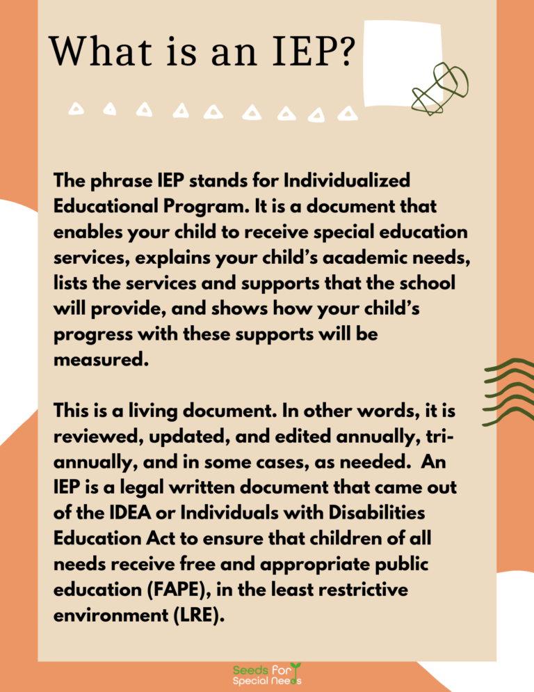 What is an IEP? – Seeds For Special Needs